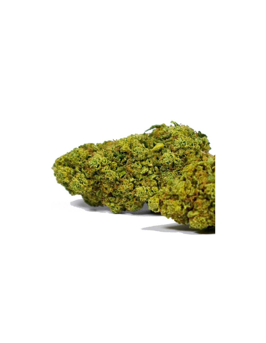 FLORES CBD BUBBLE GUM