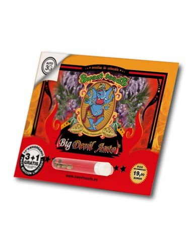 Big Devil es una variedad autofloreciente y feminizada de talla alta