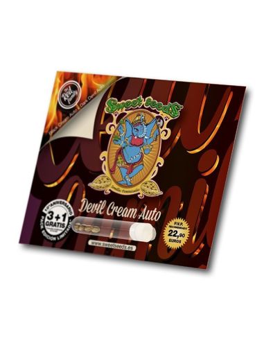 Devil Cream auto es una Variedad autofloreciente de flores moradas.