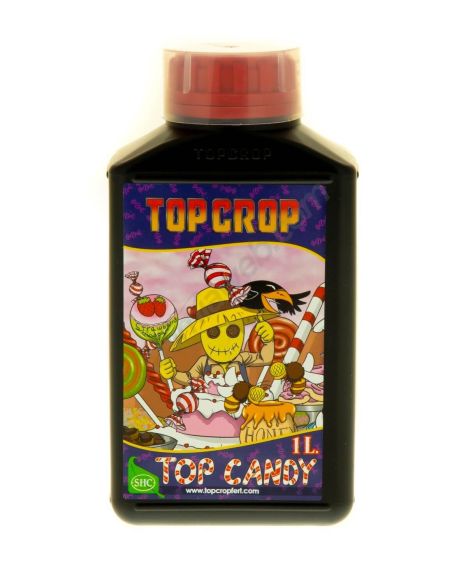 TOP CANDY TOP CROP