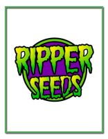 Merchandising grow shop, novedades y productos exclusivos Raw